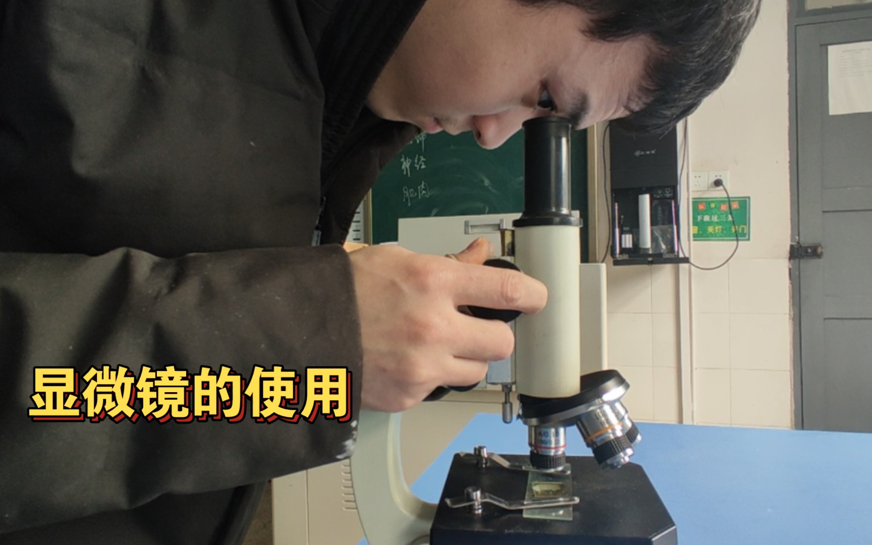 教科版六下1-5用显微镜观察身边的生命世界(一)-显微镜的使用