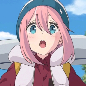 风靖花同 