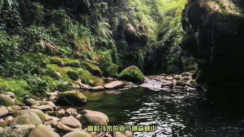 远古生物窃取美女DNA复制替身?惊天克隆阴谋曝光!