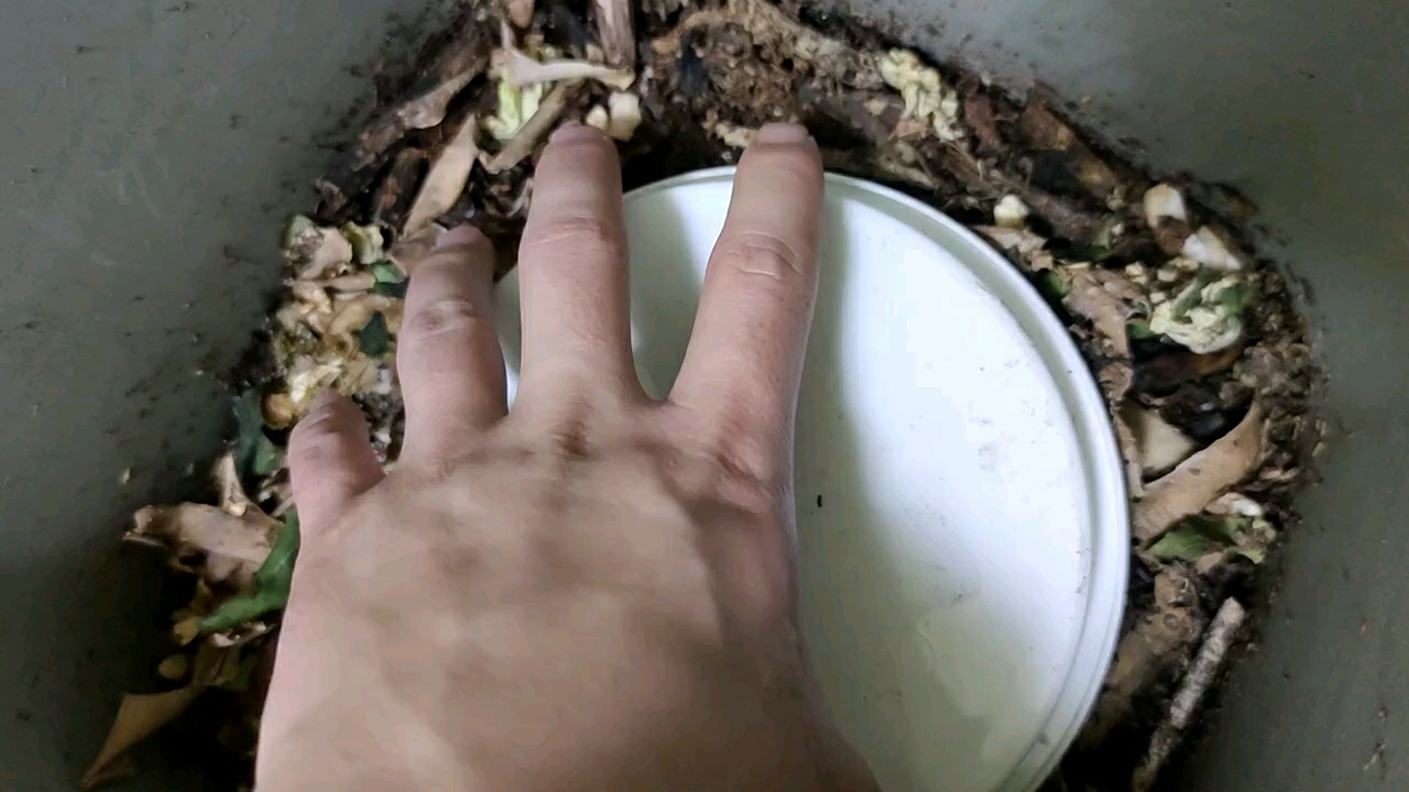 厨余垃圾有效利用