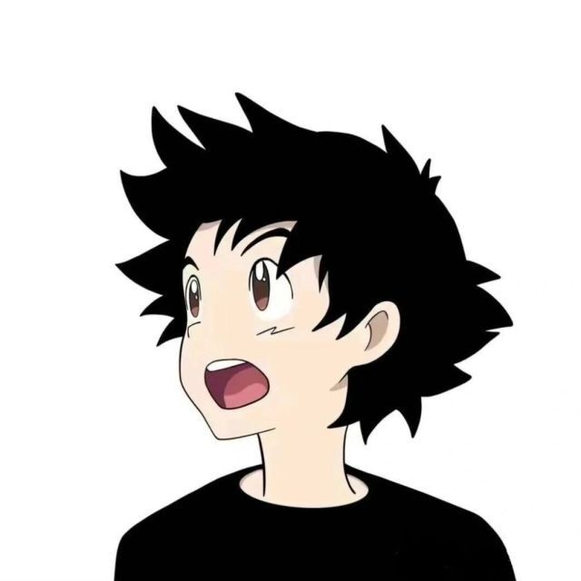 棕树dd 
