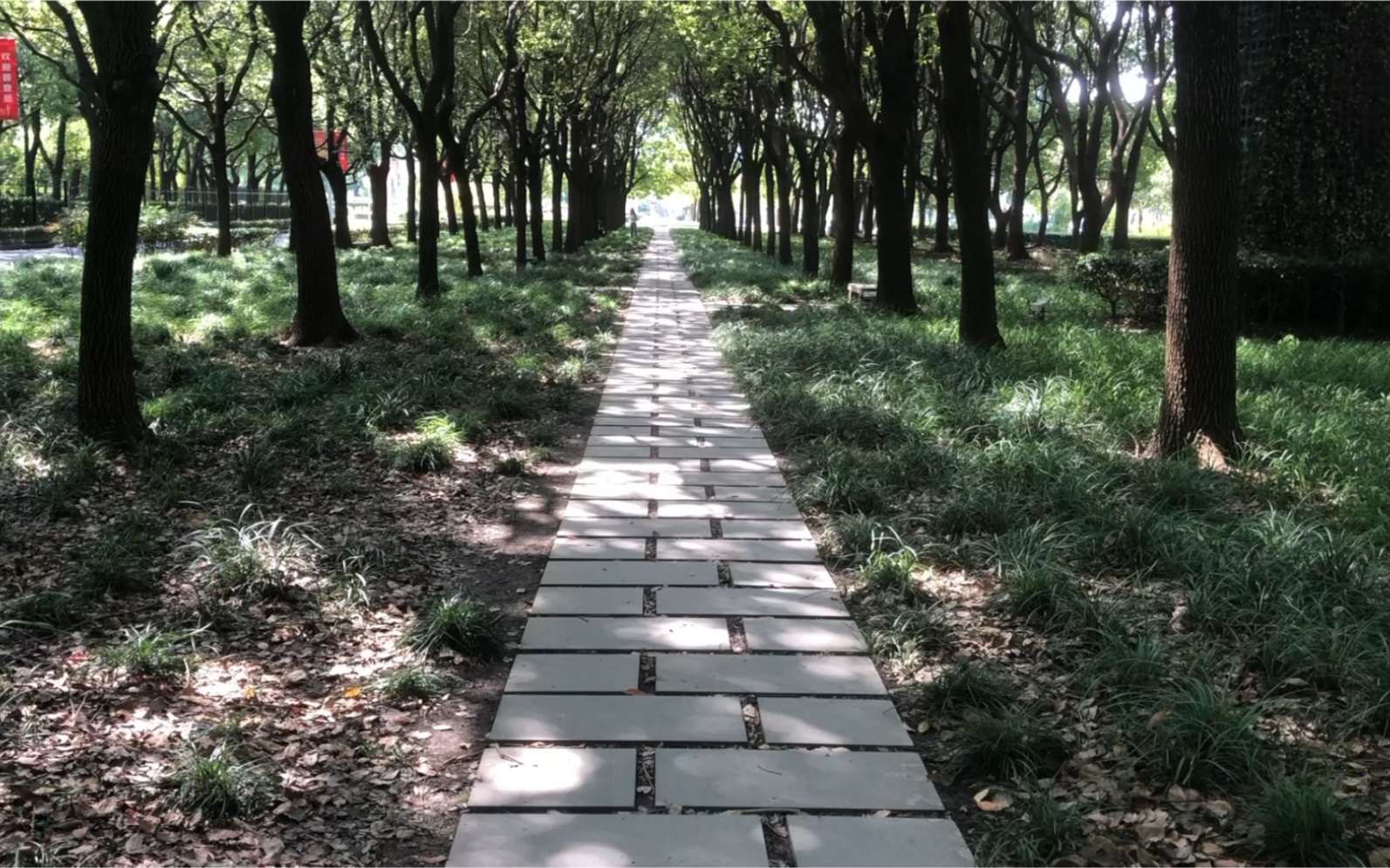 2020-2018 生活流水