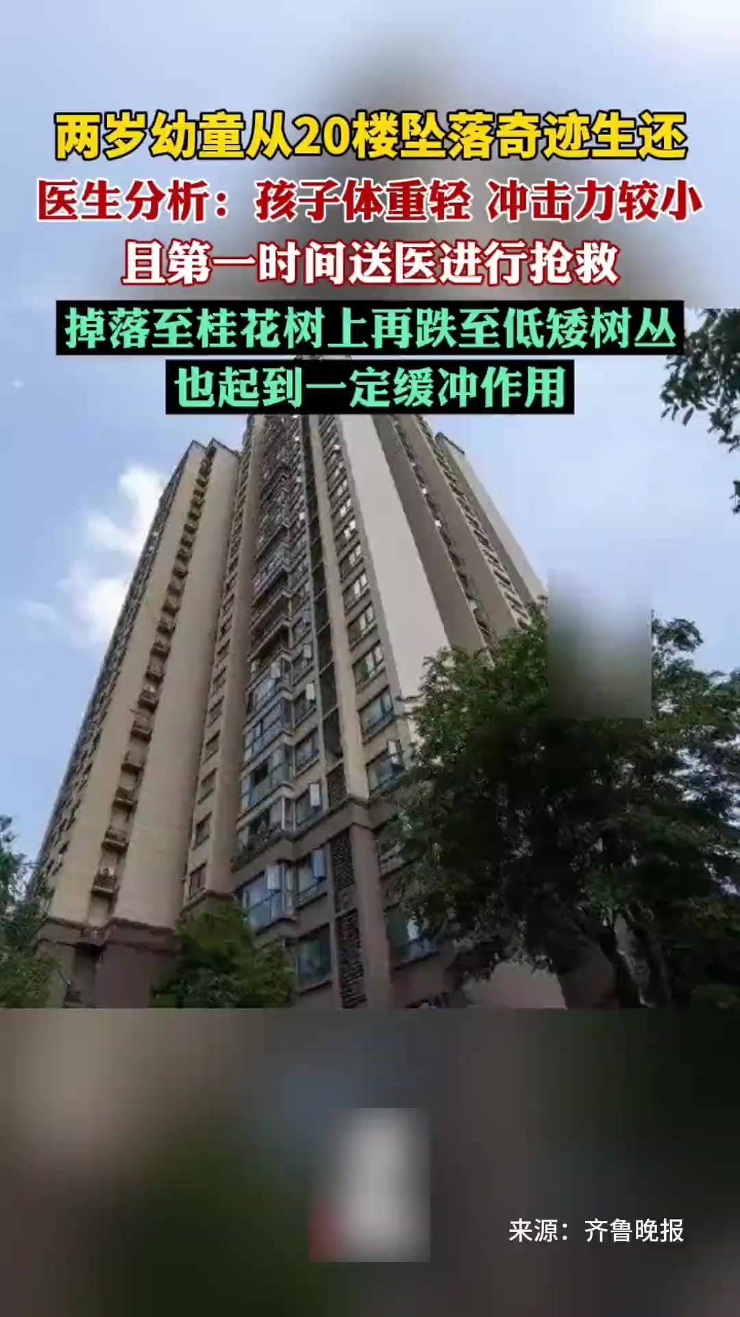 ...从20楼坠落奇迹生还,医生分析:孩子体重轻冲击力小,树木起到一定缓冲