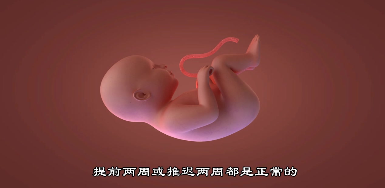 精子和卵子融合形成受精卵才能发育成胚胎