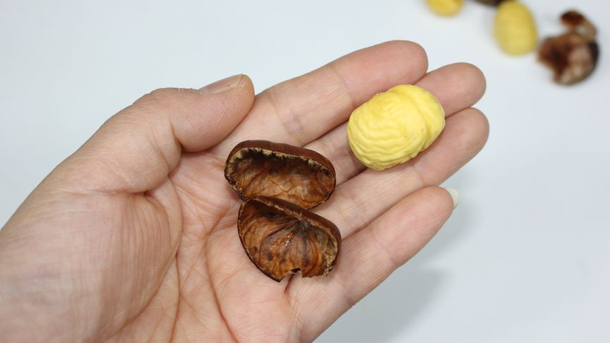 板栗难剥皮?学会这个方法,外壳内皮一剥就掉,简单实用又方便