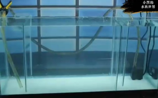 底滤缸制作步骤,新手也能自制底滤缸