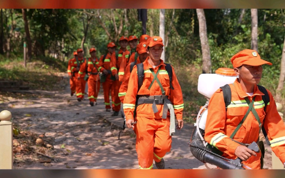 ...林业和草原局开展2022年森林消防专业扑火队伍业务培训暨应急演练。