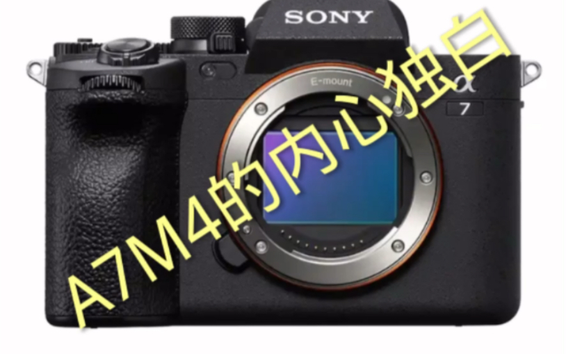 A7M4的内心独白【今天的A7M4你原价抢到了吗?】 索尼微单缺货涨价...