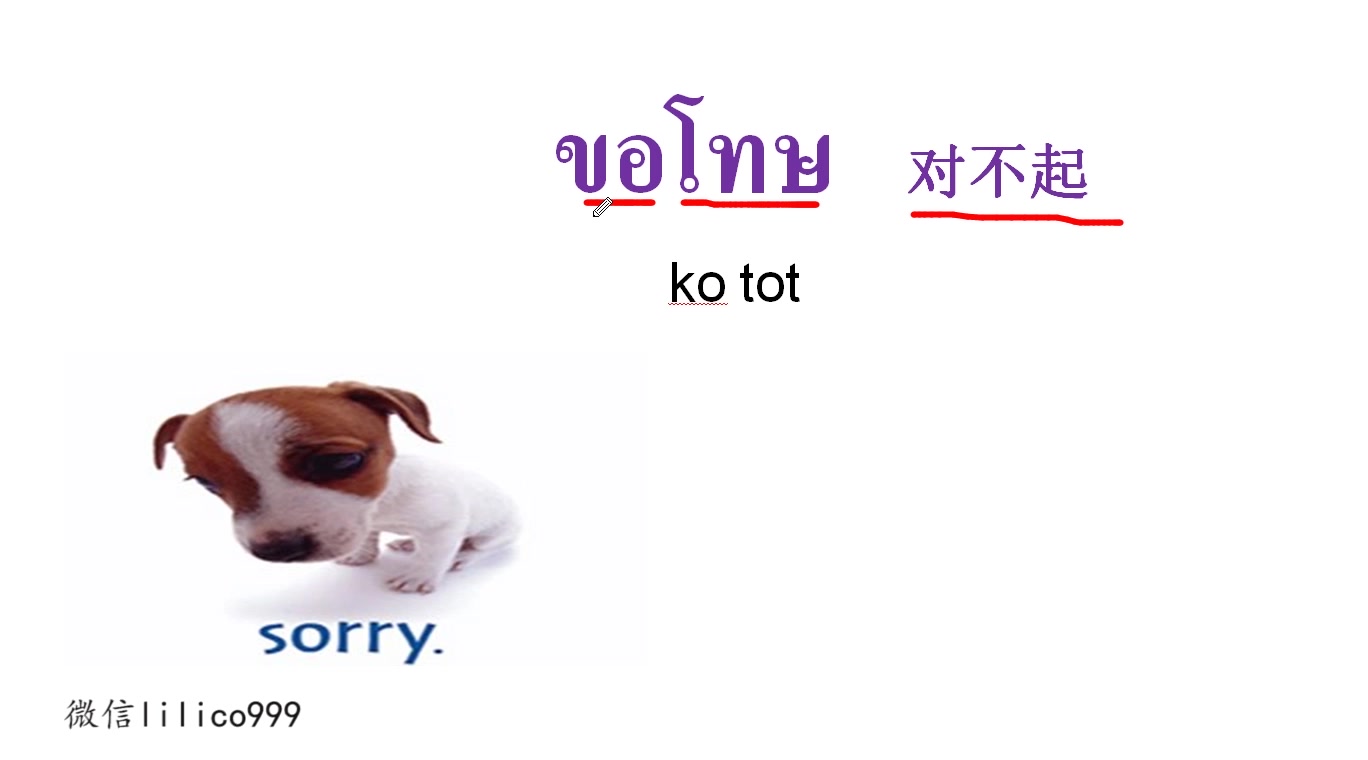 如何用泰语道歉你需要这样做【泰语学习】