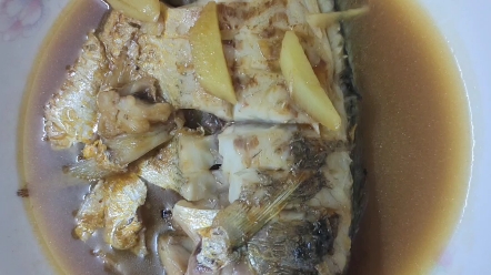 生活不易,但总有小美好值得记录