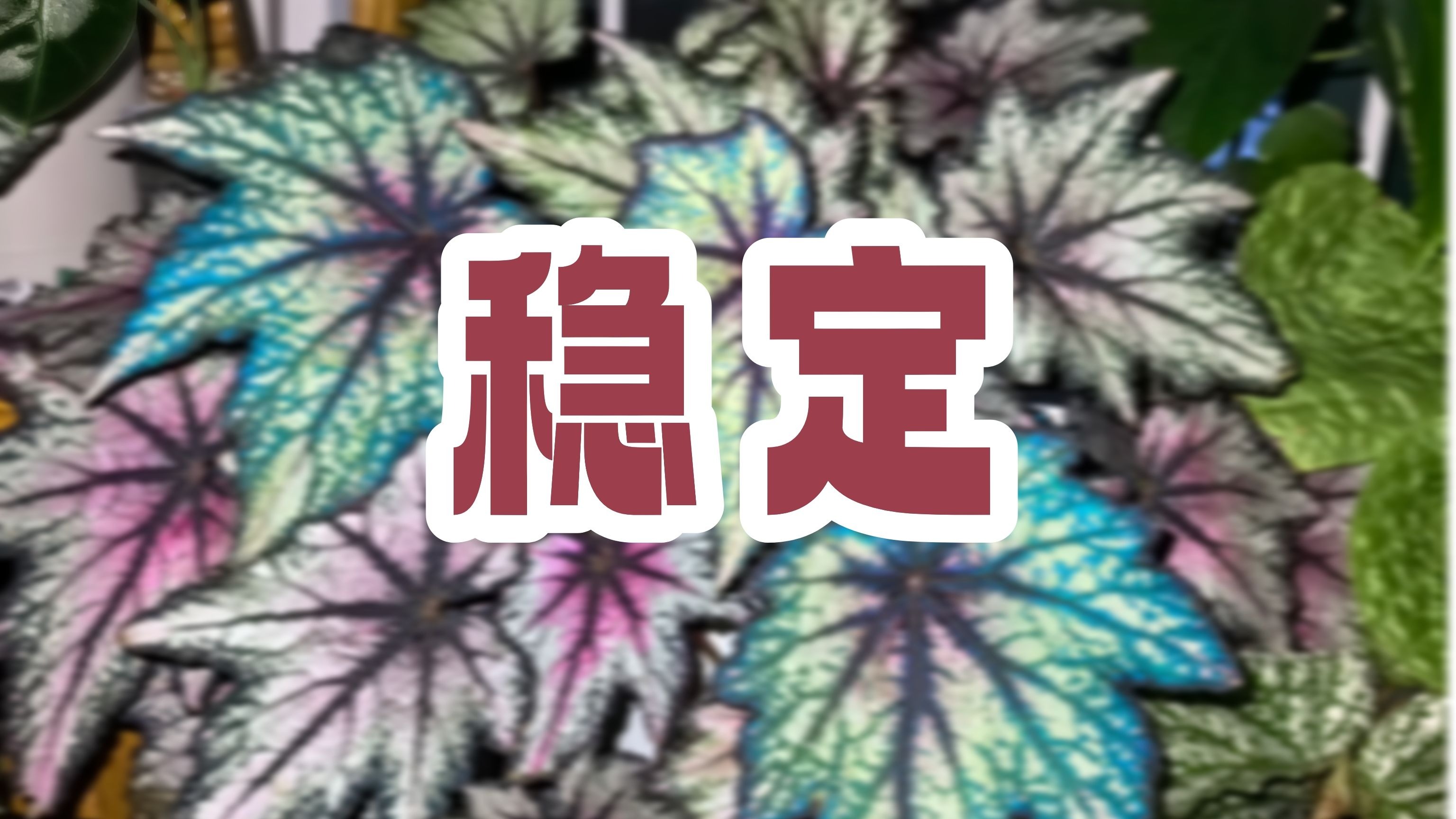 稳定,还存在吗|在历史重大变革时期,我们该如何自处?
