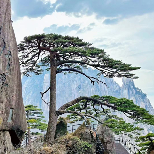 夏天的味道真好 