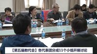 【第五届教代会】各代表团分成11个小组开展讨论