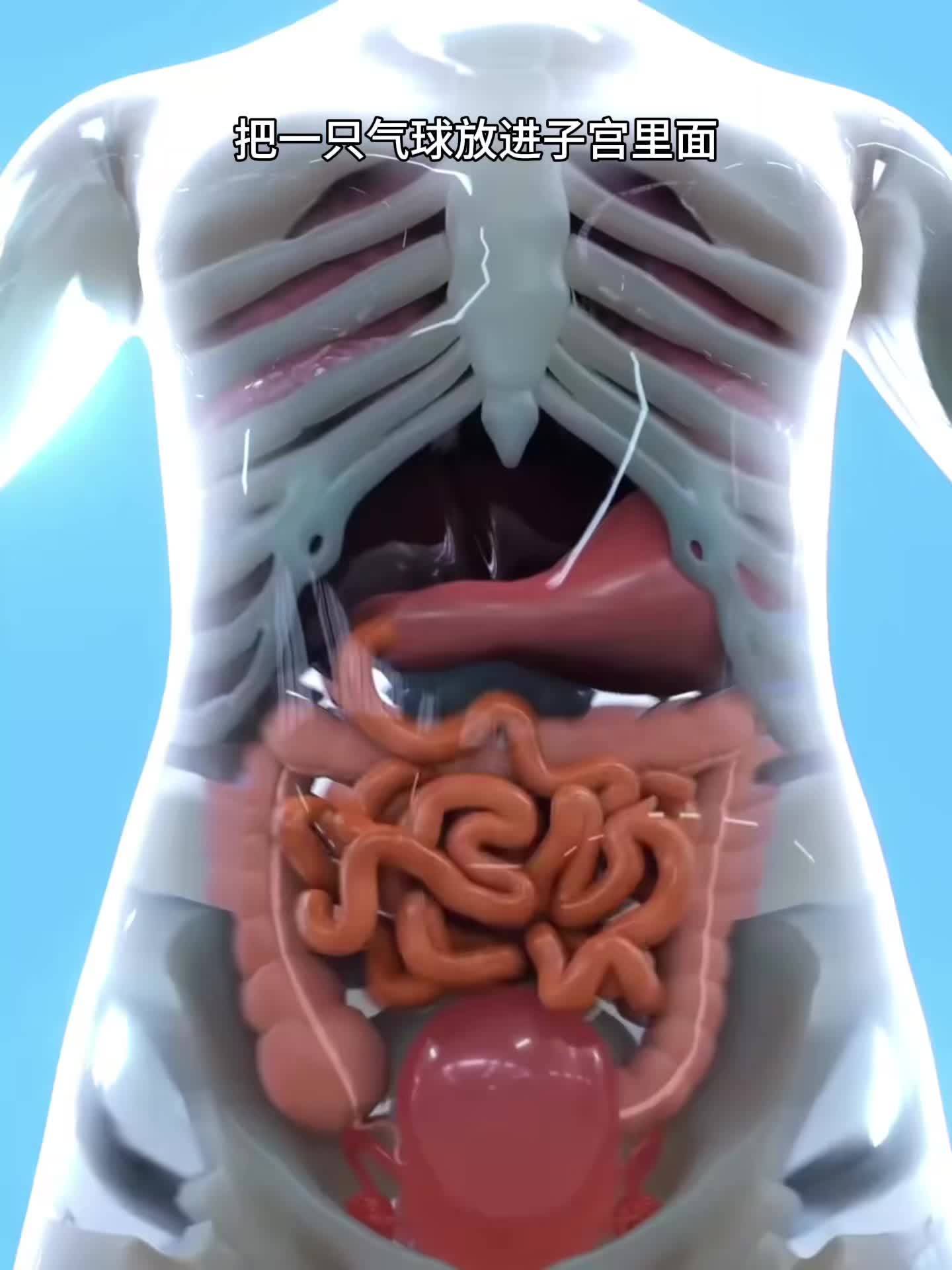 女性怀孕过程的真实折磨