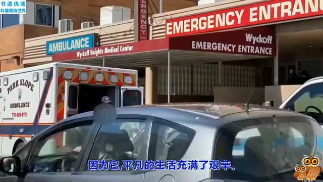 如何全面认识新冠肺炎?不幸被新冠病毒感染怎么办?科普知识英语学习