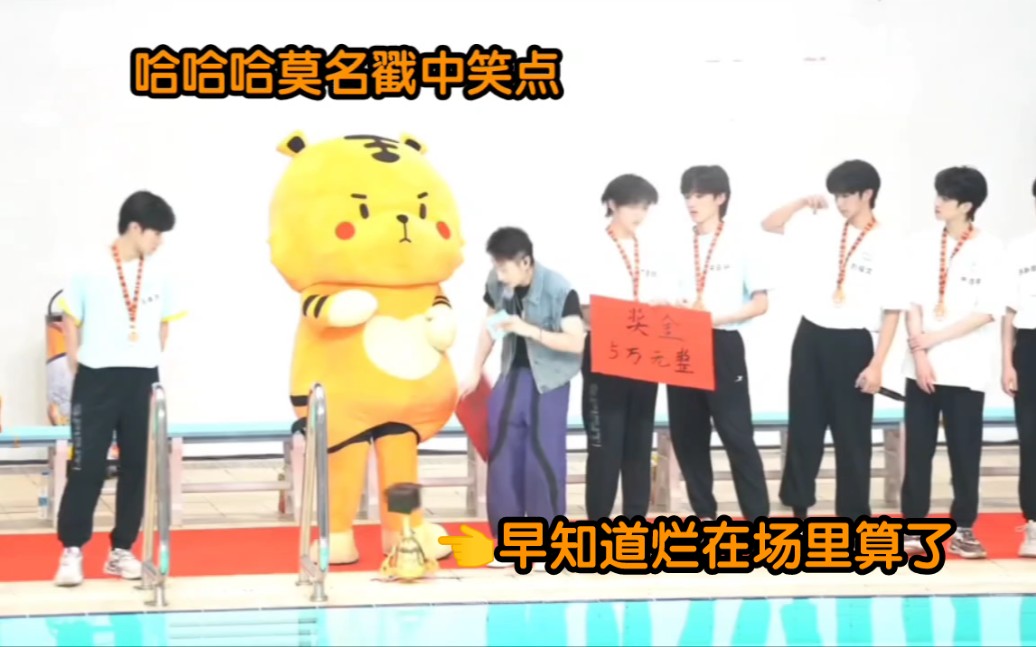 夏日运动会里的那个虎葵好好笑