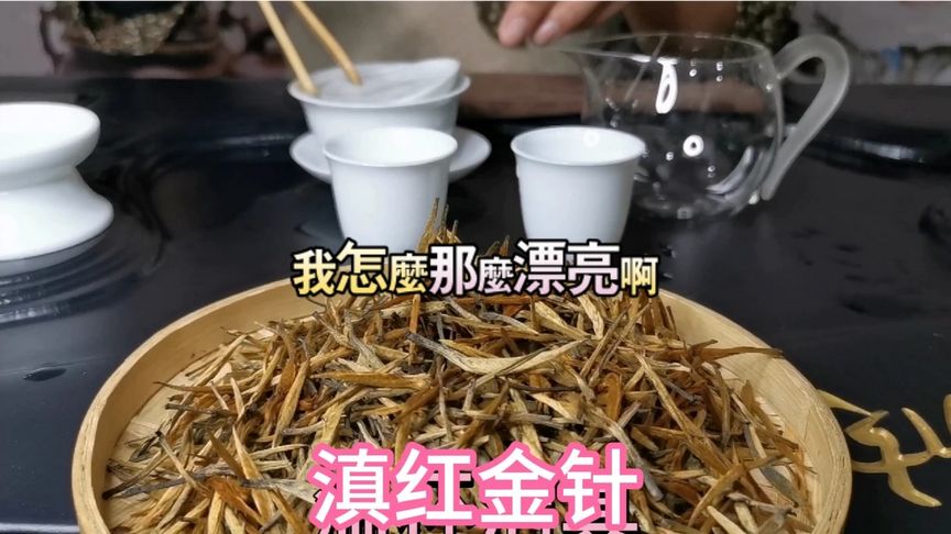 让我们一起来学习滇红茶,了解原产地