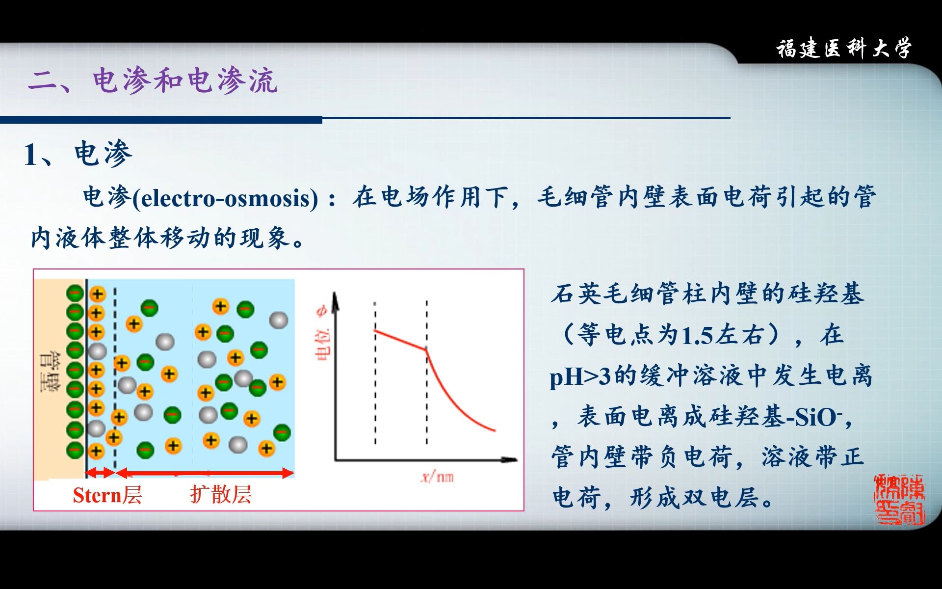 【仪器分析】11-高效毛细管电泳分析法-1(基本原理)
