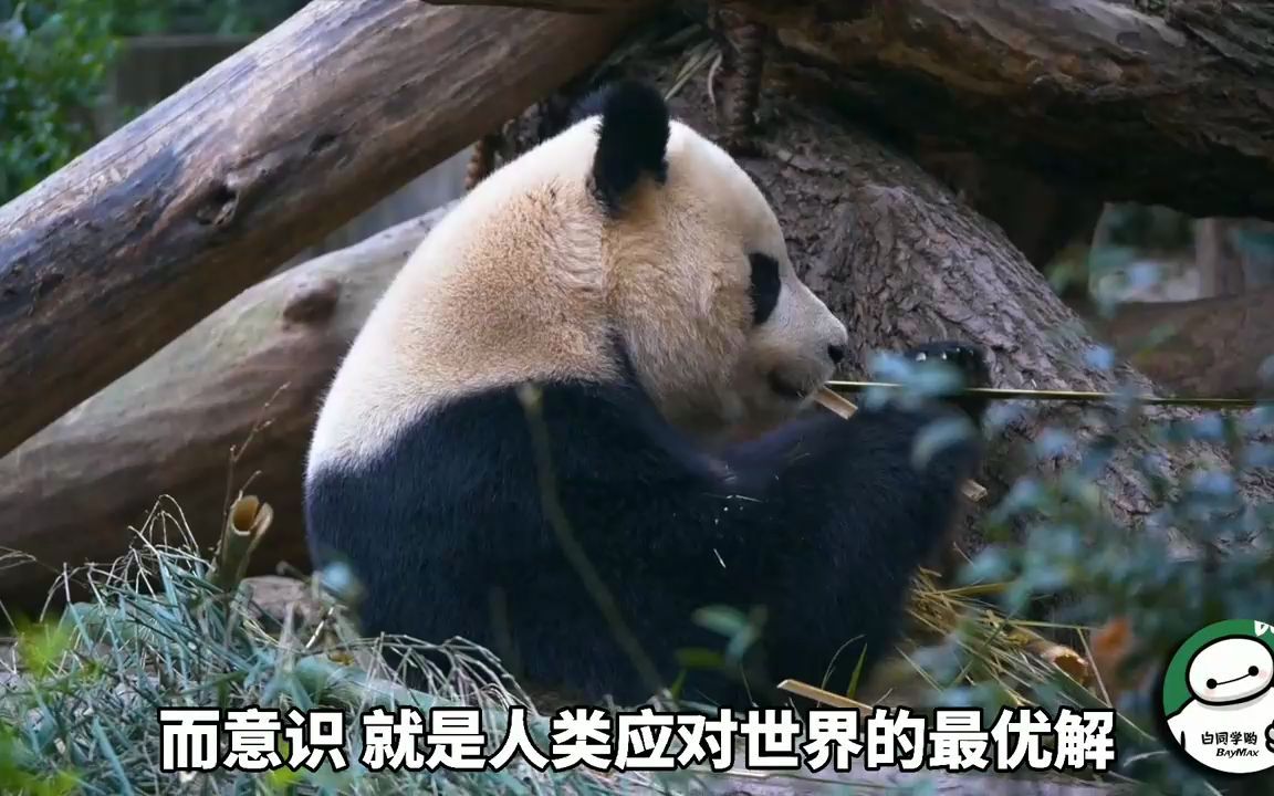 你有没有想过这个世界是虚拟的呢?你看到的,就是真实存在的吗?