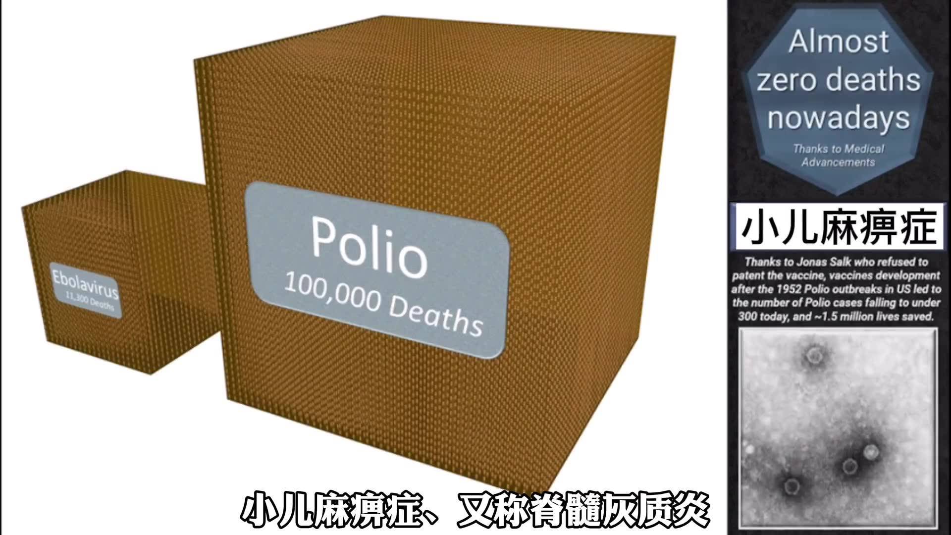 最可怕的病毒你知道几个?