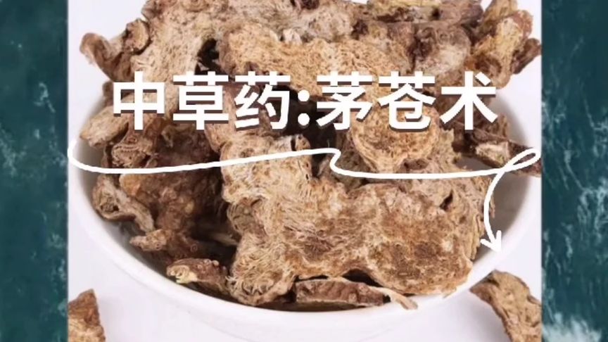 中药,中草药,茅苍术的作用与功效@中医赵凤志