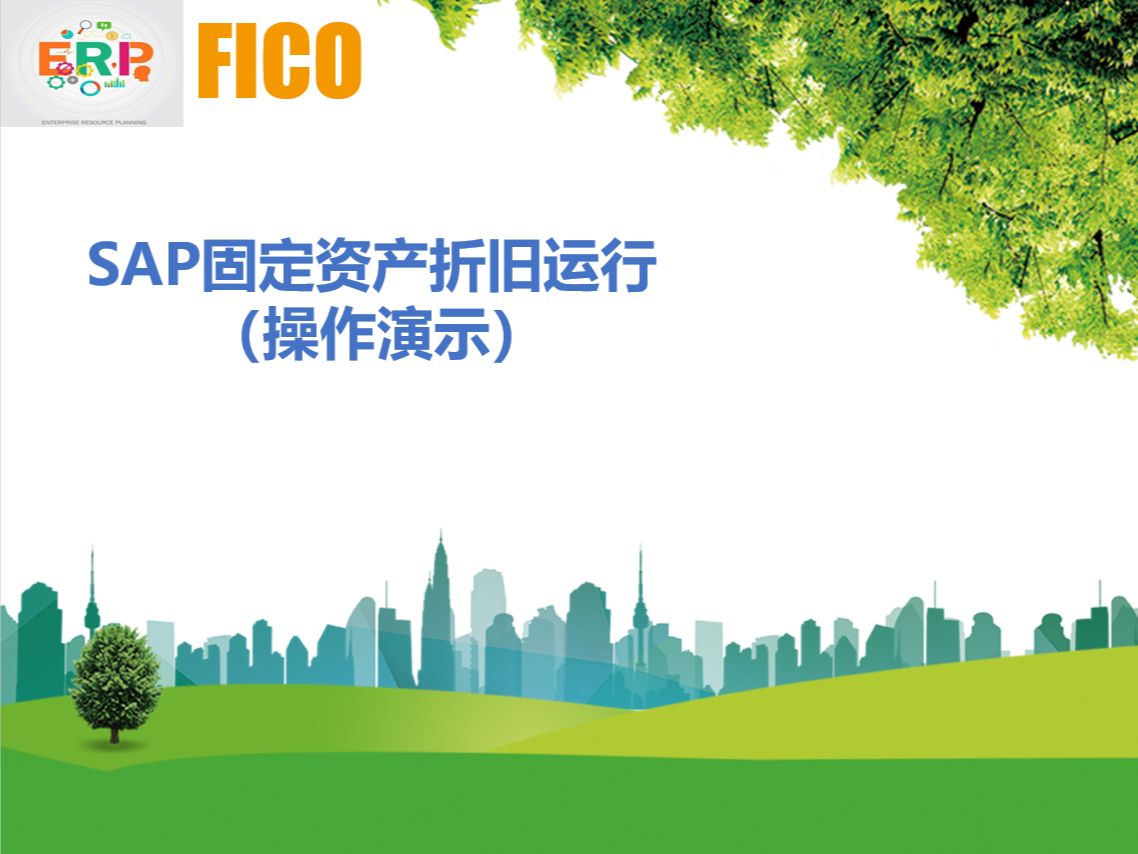 SAP固定资产折旧运行