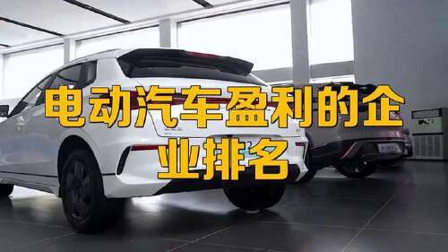 特斯拉领衔!揭秘最赚钱的电动汽车企业排行榜