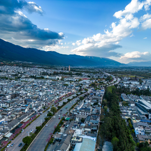 神仙鱼-装修ing版 