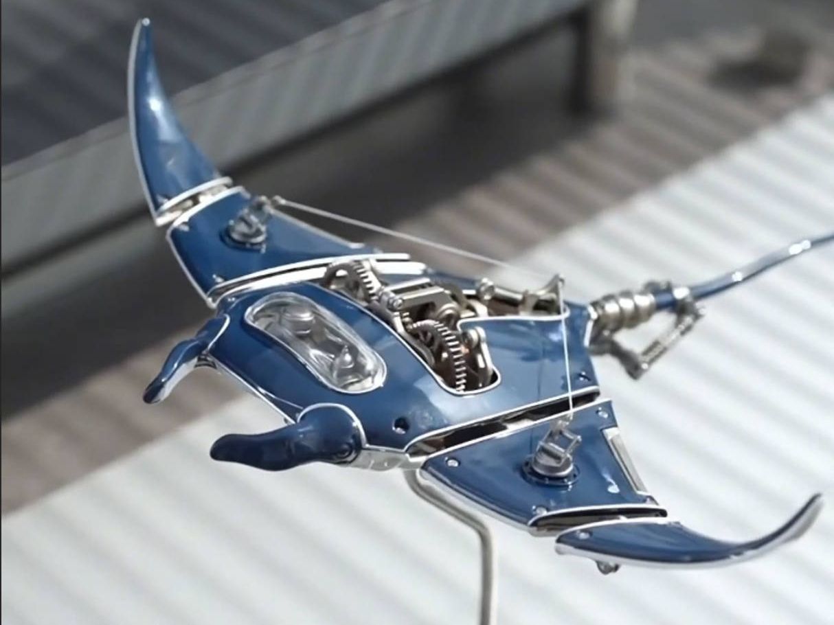 动态的机械鳐鱼和鹦鹉螺模型,简直是金属与艺术的完美结合