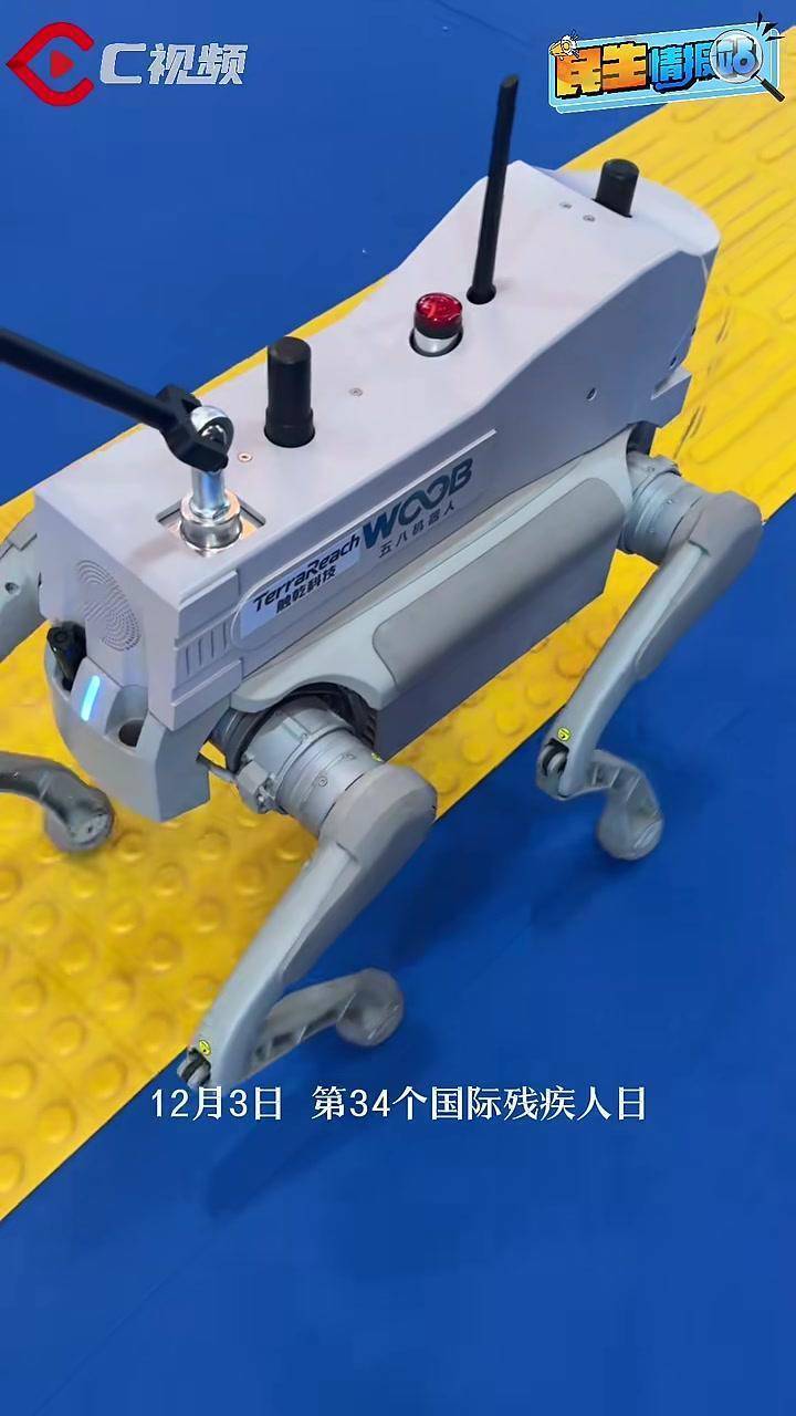“四川造”智能导盲机器狗来了!记者牵上“狗绳”实测#民生情报站#...