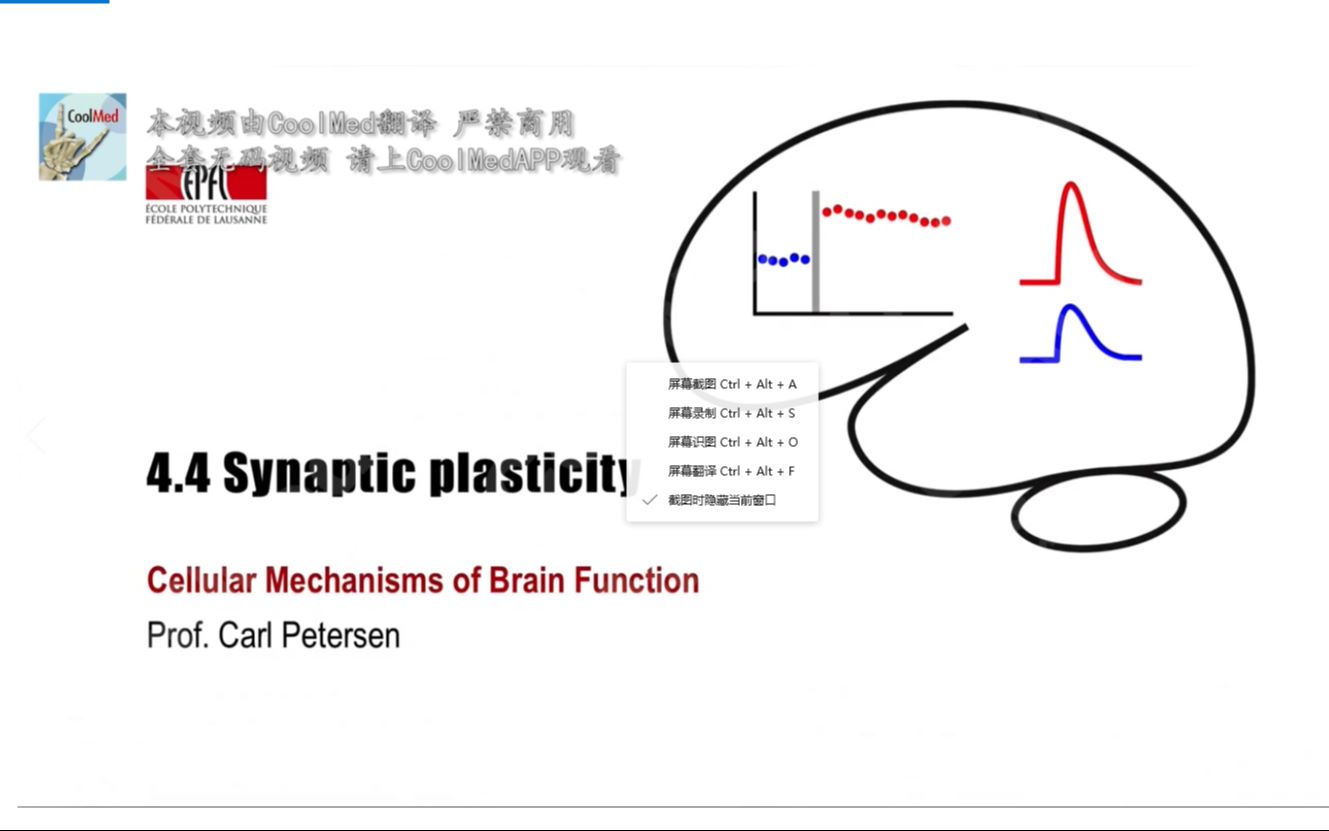 【脑功能的细胞机制】|4.4 突触可塑性