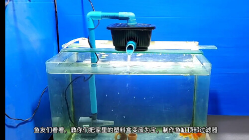 用塑料盒制作鱼缸顶部过滤器,过滤功能强大,快速清除鱼缸!