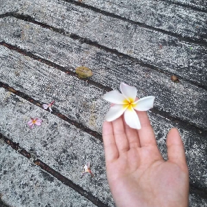糖画姑姑 