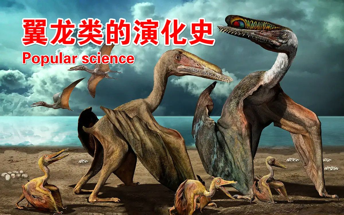 翼龙类的演化史,及最全的翼龙种类