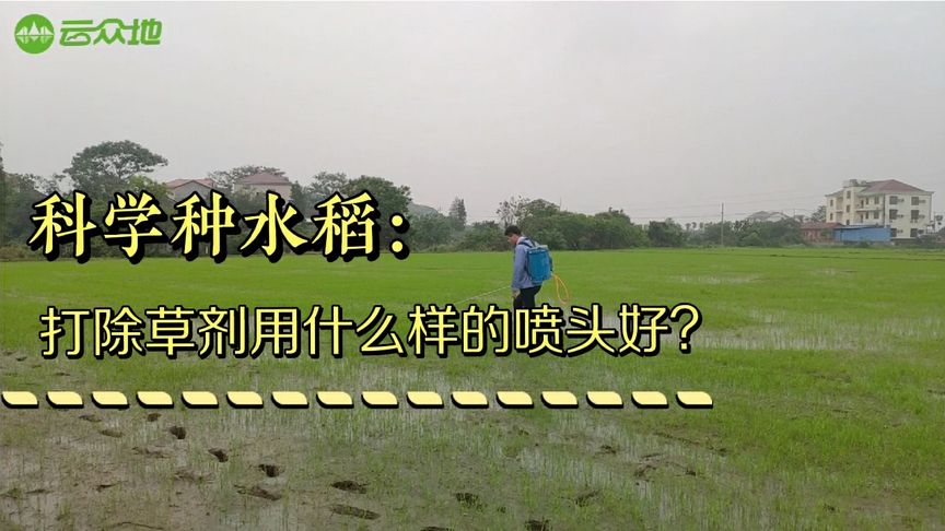 水稻田打除草要提高效果,喷雾器应选择雾化程度高的喷头