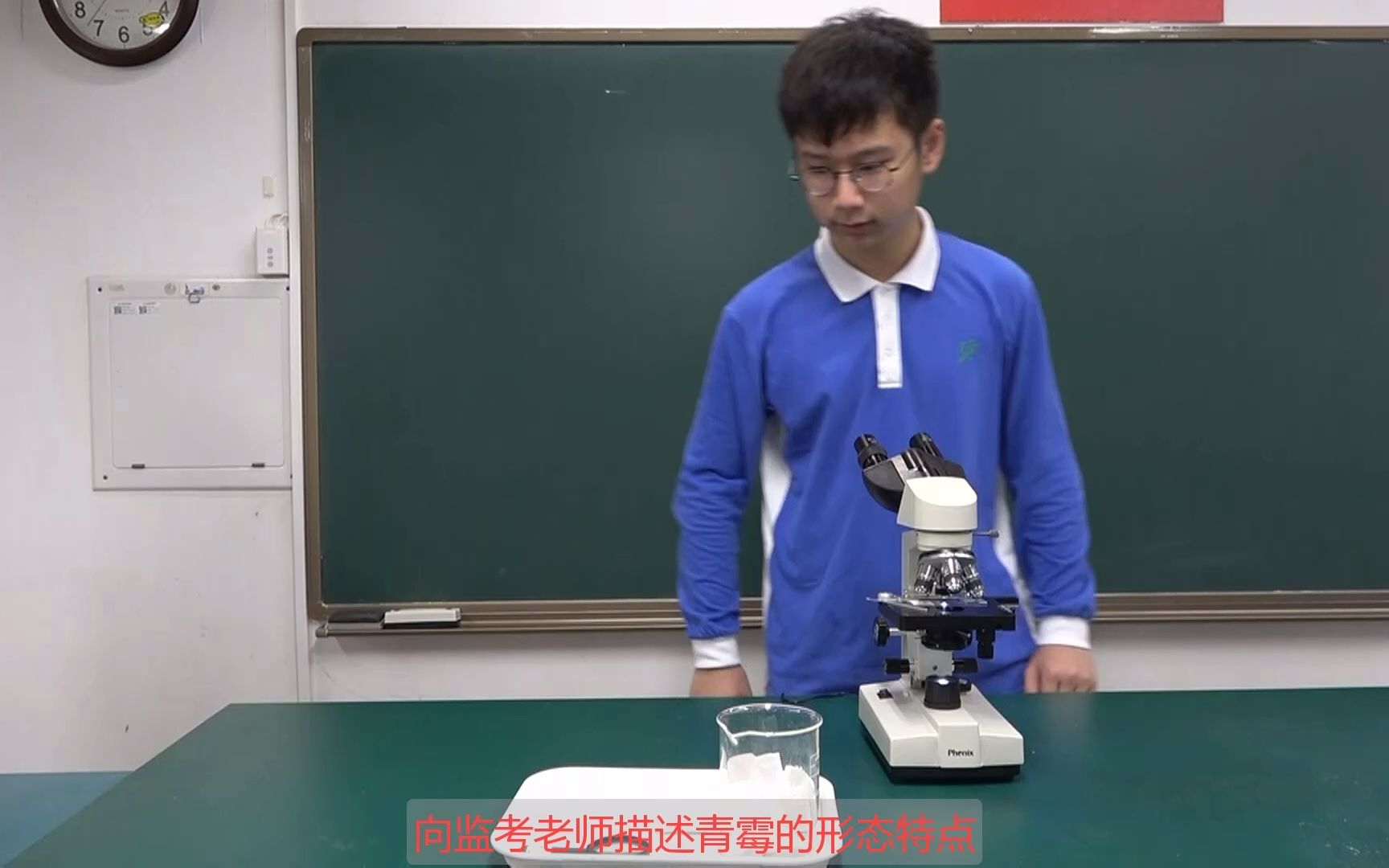 A组实验观察青霉永久装片