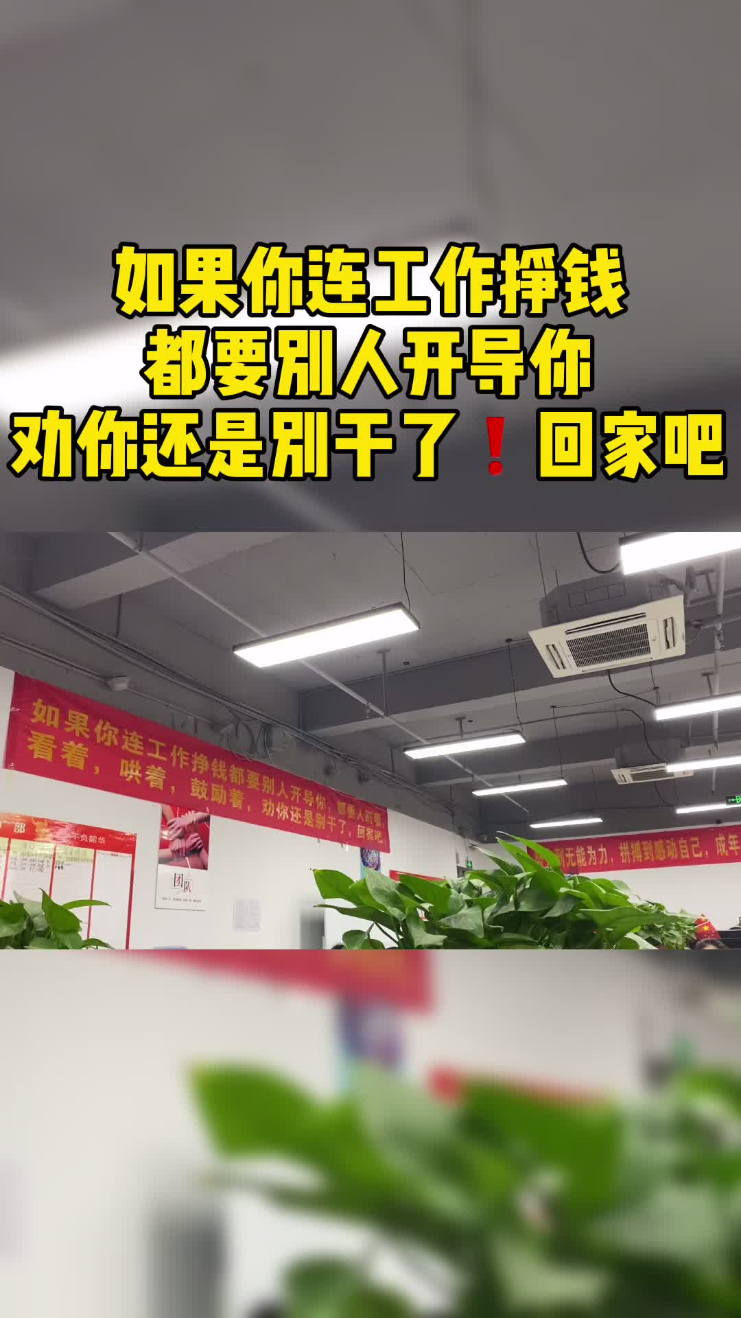 全新财务管理系统|系统|财务系统|记账系统|财务|会计|出纳