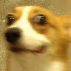 枝止耶 