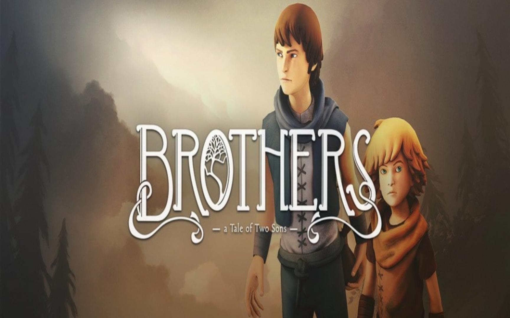 【双人游戏推荐】《兄弟双子传说》NS版双人同屏直播实录(无剪辑!)