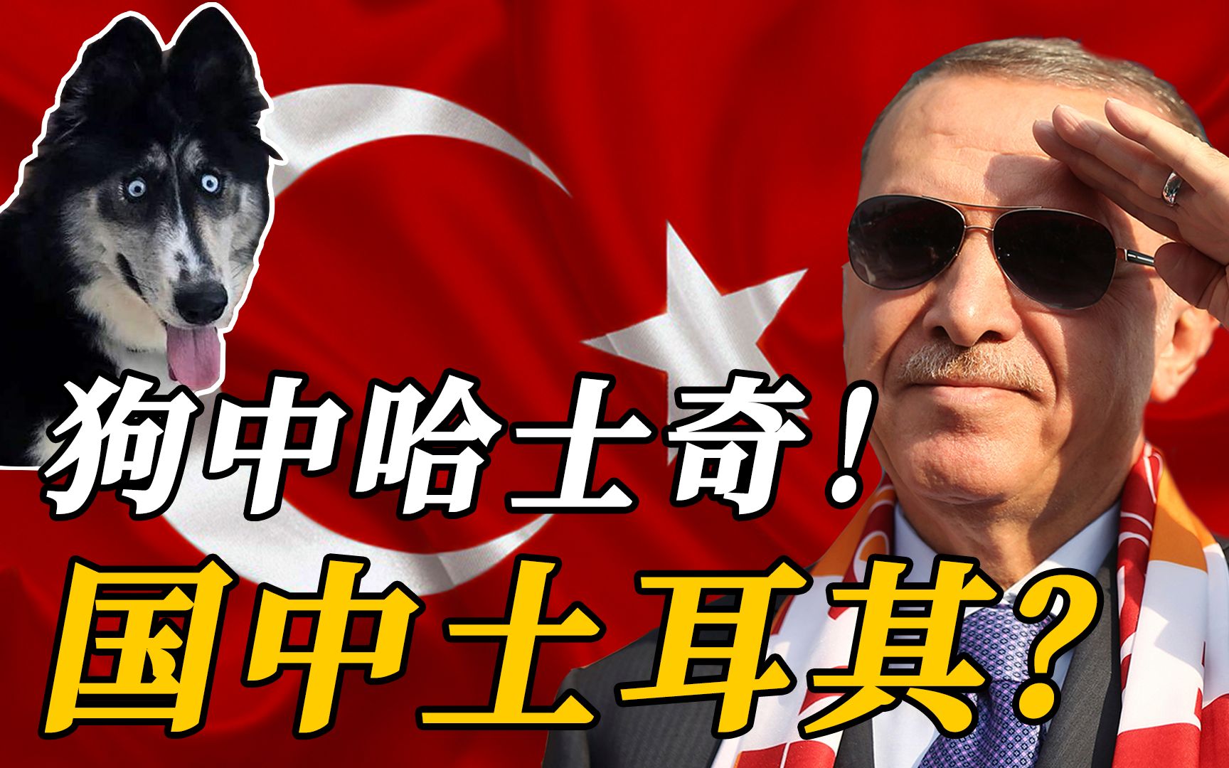 中东“白眼狼”土耳其有多离谱?打仗只打自家人,迫使中国修长城