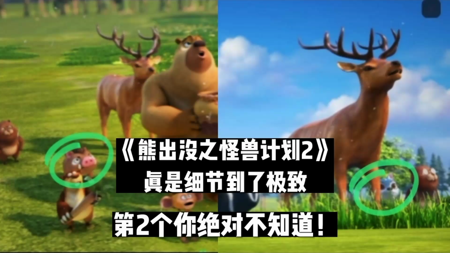 熊出没真是细节到了极致,第二个你绝对不知道!