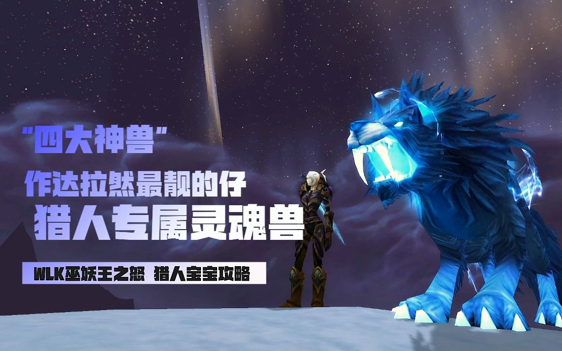 魔兽世界WLK巫妖王之怒:猎人灵魂兽驯服攻略拥有四大神兽梦想家