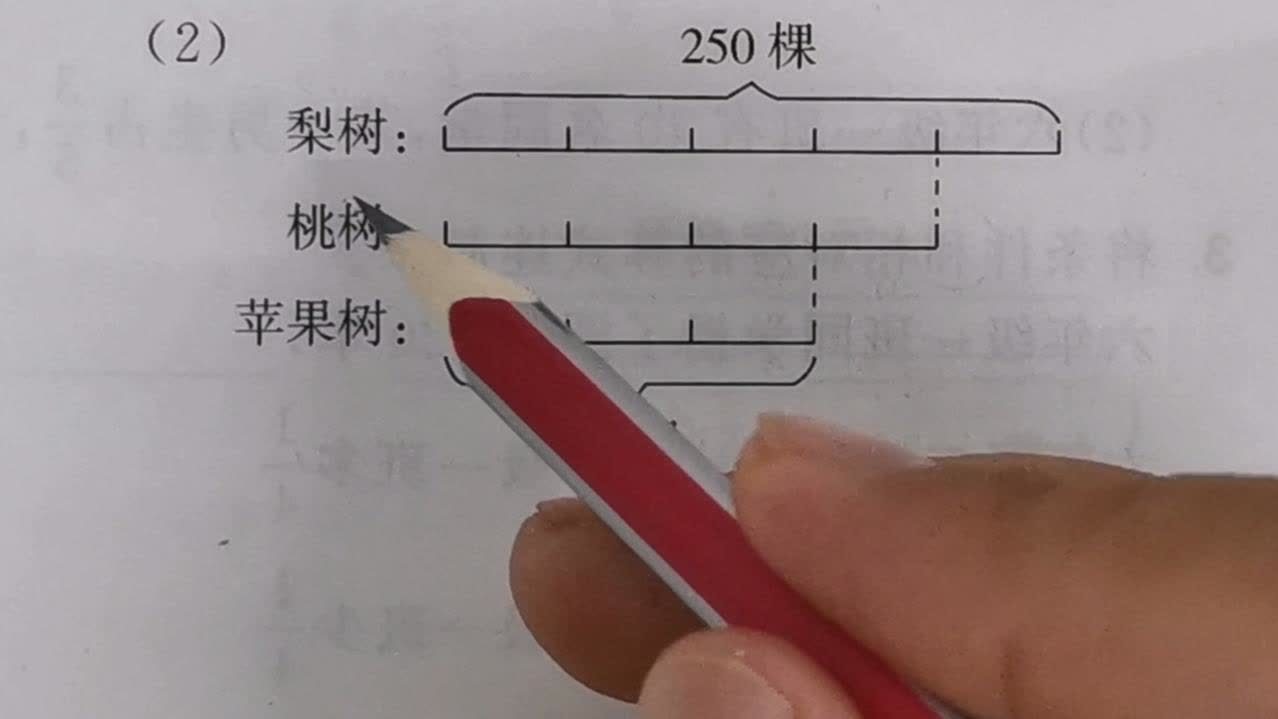 六年级数学:分数乘法的应用(1)第2题
