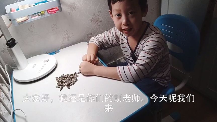 数学史:了解计数制的形成
