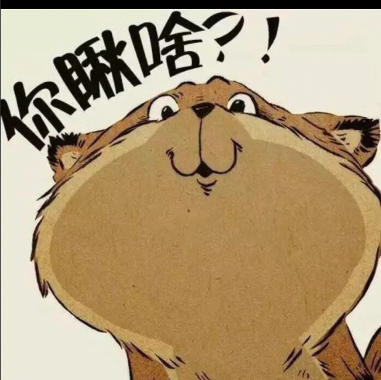 大肥那年 