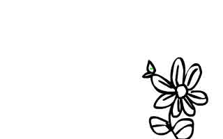 自画小短片 两只蝴蝶?