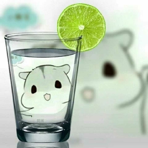 不醉繁华落尽 