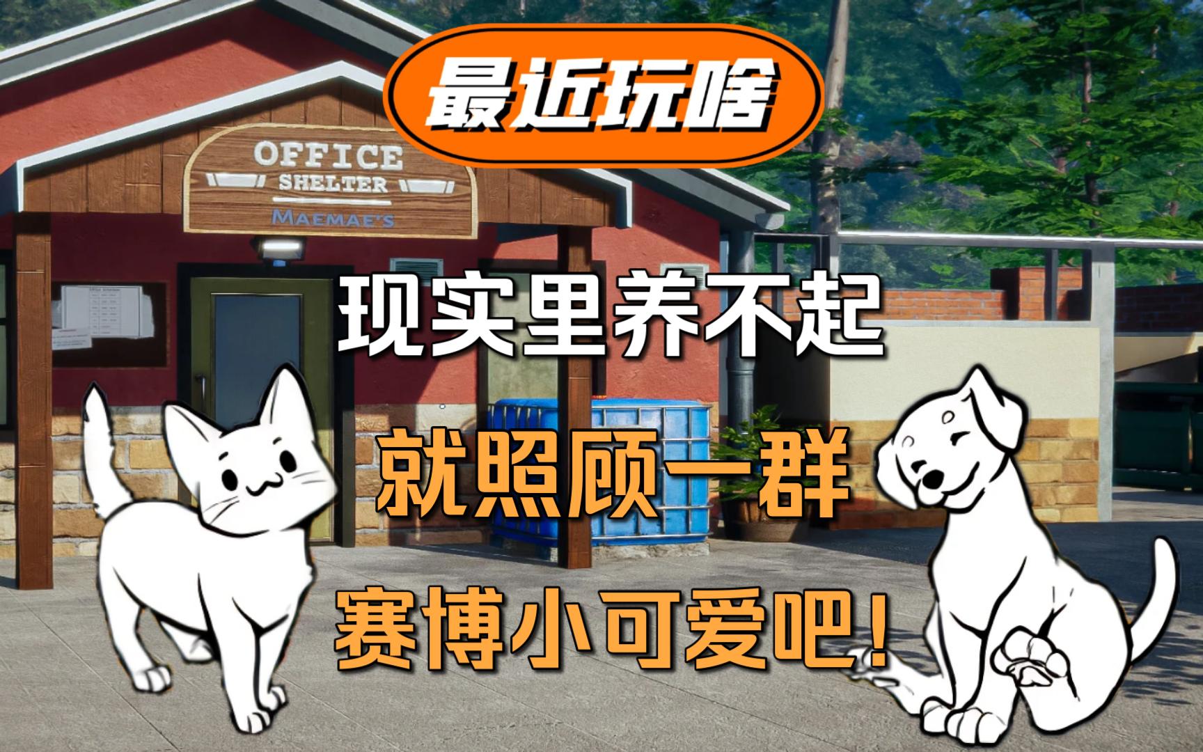 ...自己的动物收容所!「动物收容所」【最近玩啥52】模拟经营游戏推荐