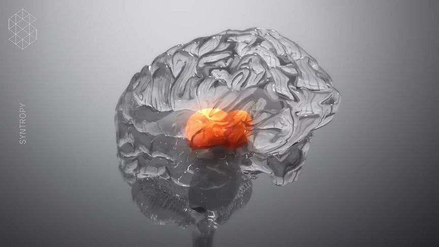 「3D演示」高中生物动画演示合集-神经元的结构