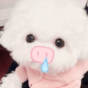 吃个晨子_ 